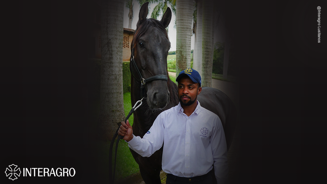 A funcionalidade dos produtos do Zíngaro Interagro | Interagro Lusitanos